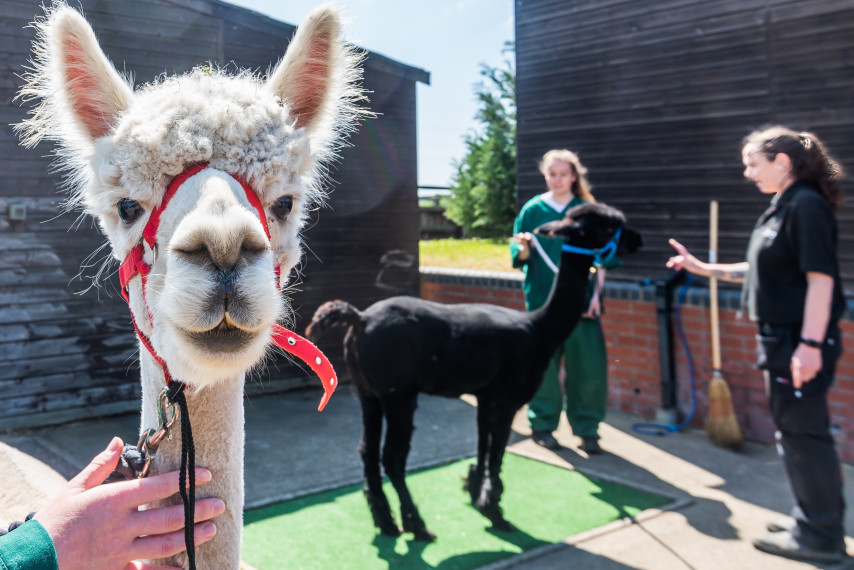 Home | Easton College