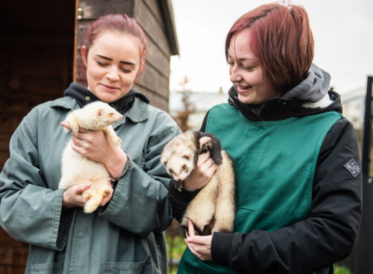 Animal Studies at Easton College