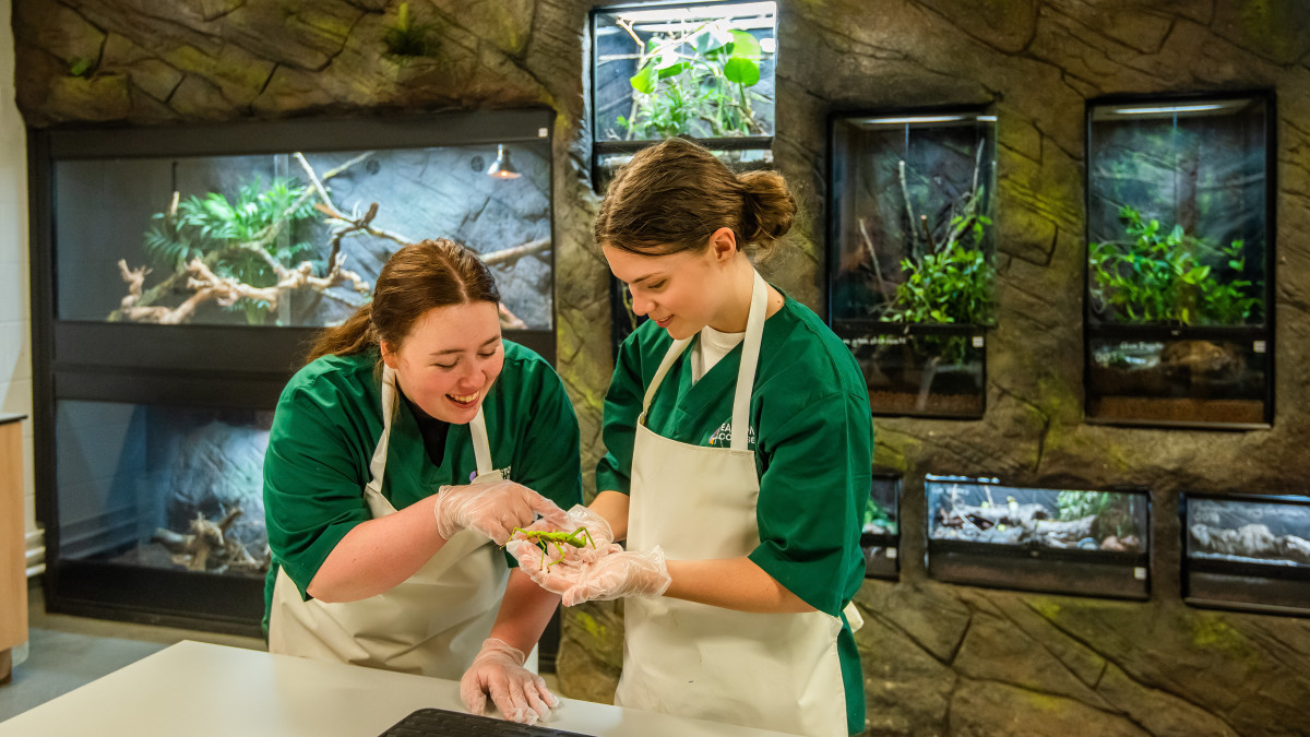 Animal Studies Courses | Easton College