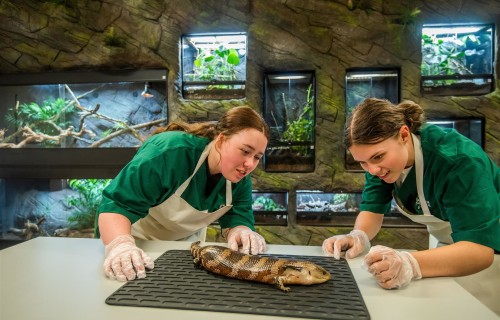 Vocational Pathway | Easton College